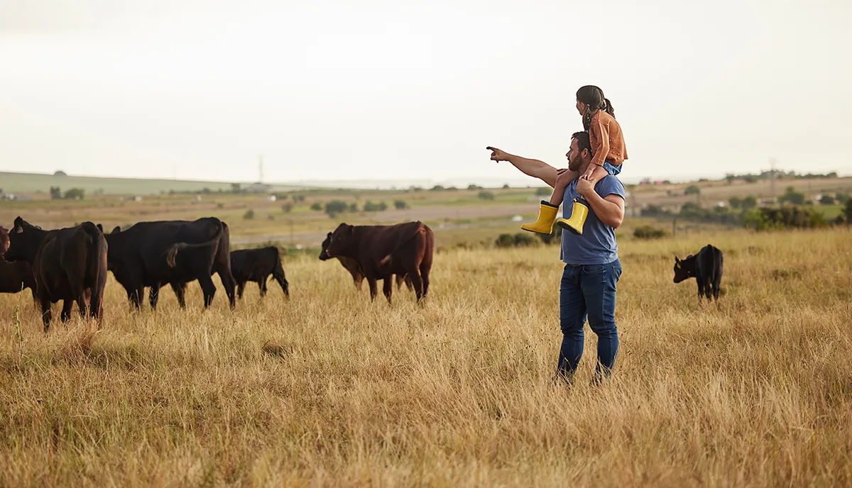 Succession planning for agribusinesses - BDO